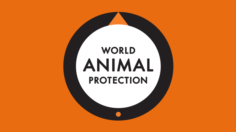 Stort intresse för våra seminarier om djur och klimatkris i Almedalen